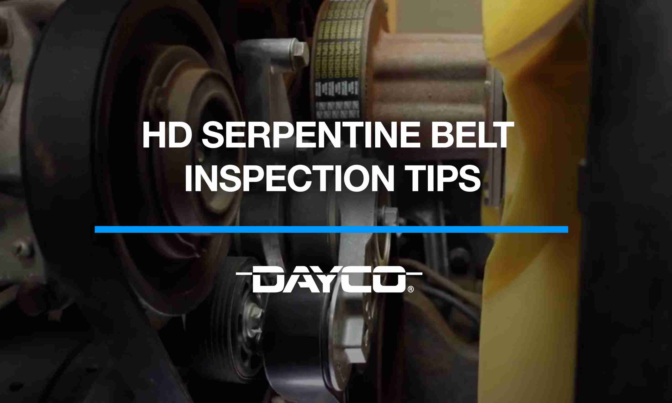 Dayco | HD Serpentine Belt Inspection Tips - International | EN