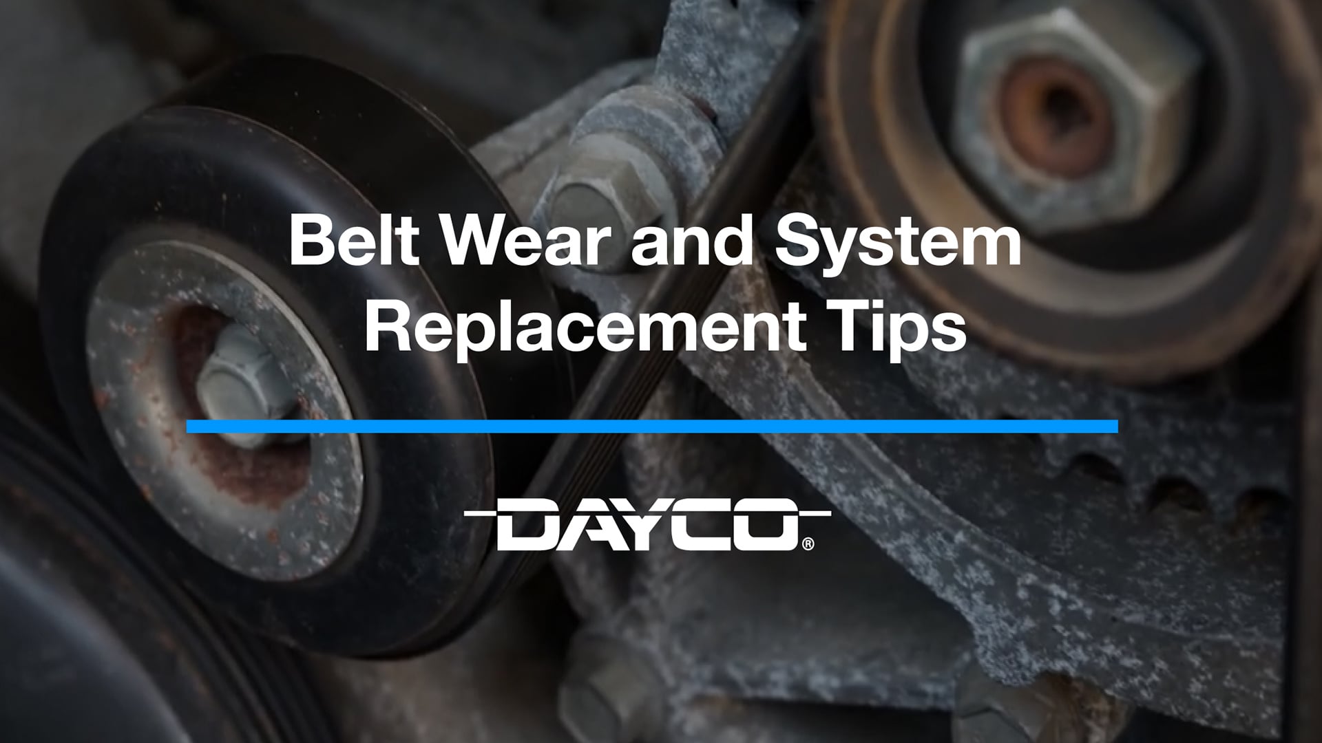 Dayco Checking For Belt Wear And The Importance Of System Replacement